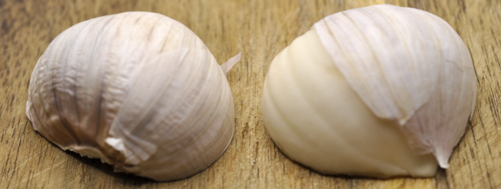 A Garlic Monobulb