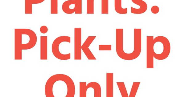 Plants: Pick-Up Only