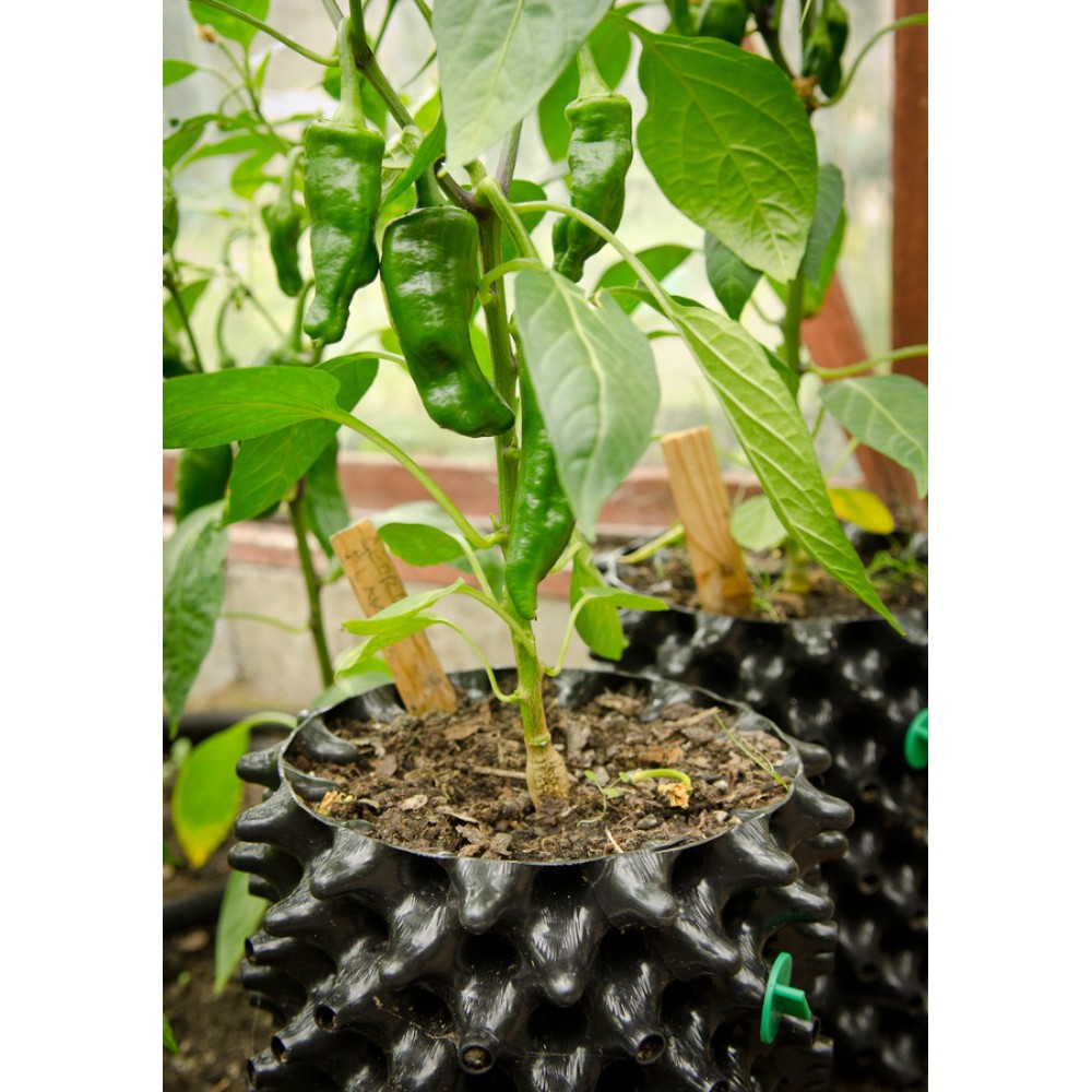 Air-Pot Container Garden - Small (3 L) - from 1 Unit