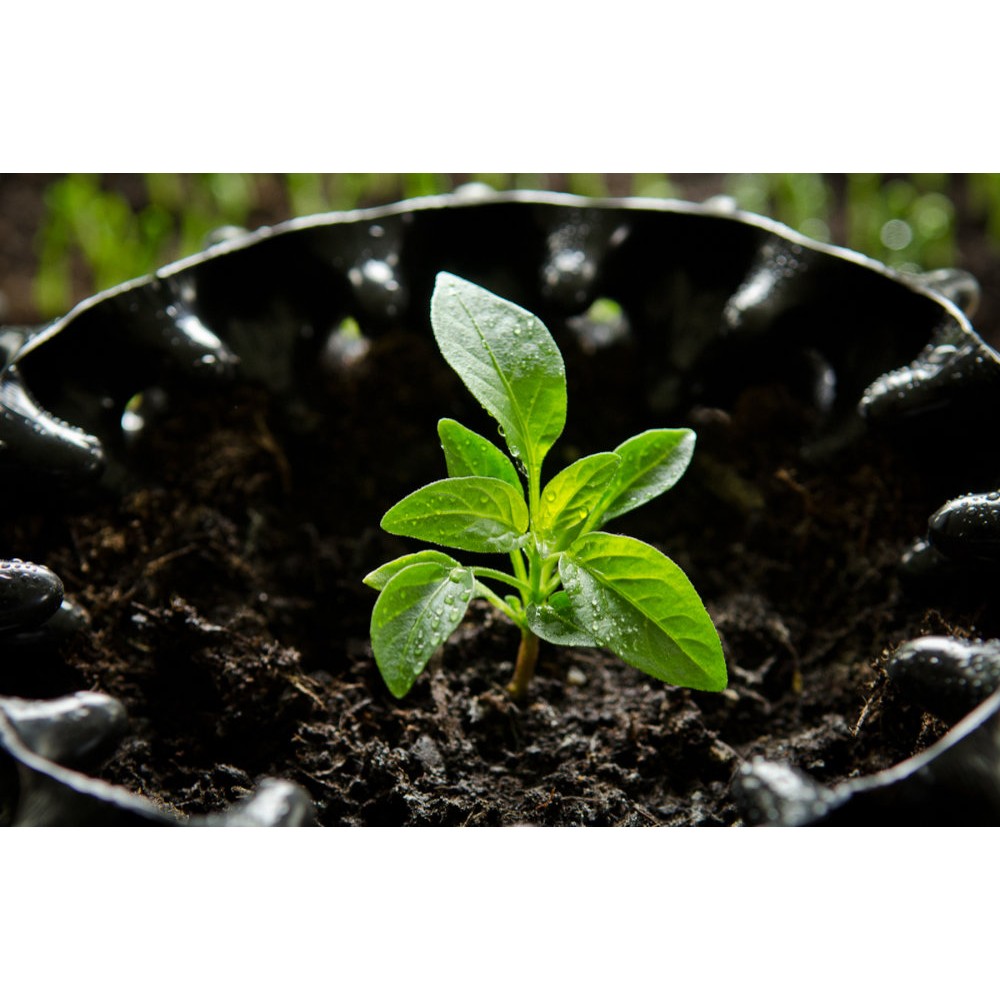 Air-Pot Container Prop-Pot (1 L) - from 1 Unit