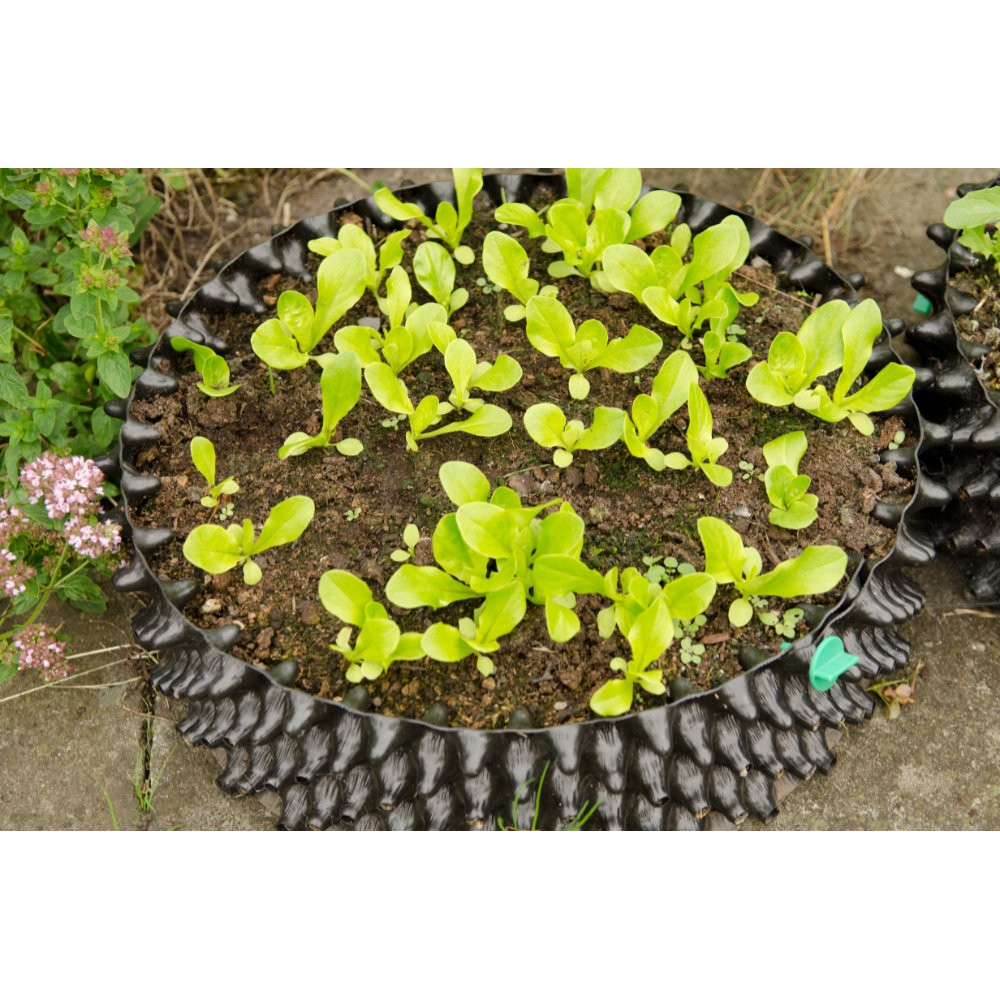 Air-Pot Container Large Seed and Salad/Herb Tray (9.4 L) NON-SPEC ...