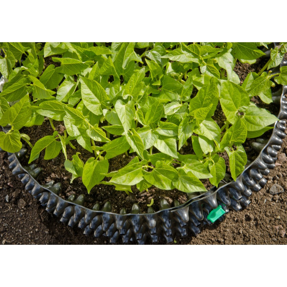 Air-Pot Container Large Seed and Salad/Herb Tray (9.4 L) NON-SPEC ...