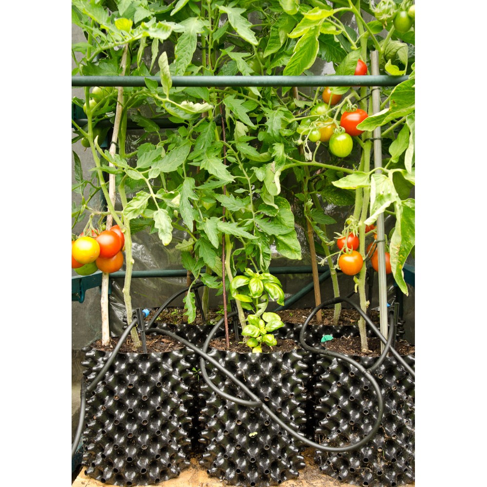 Air-Pot Container Garden - Small (3 L) - from 1 Unit