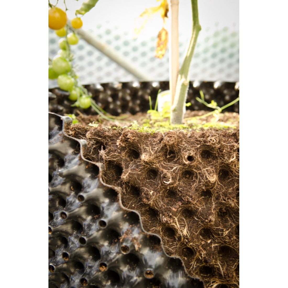 Air-Pot Container Garden - Large (20 L) - from 1 Unit