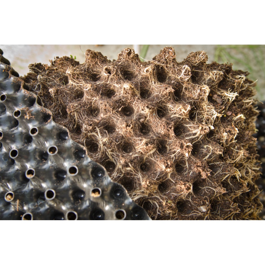 Air-Pot ® Combo Pack 3: One 4.1 L Seed Tray, Two Each of 1 L Prop Pot ...