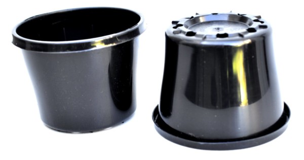 Twenty-Four 100 mm Round Squat Pots