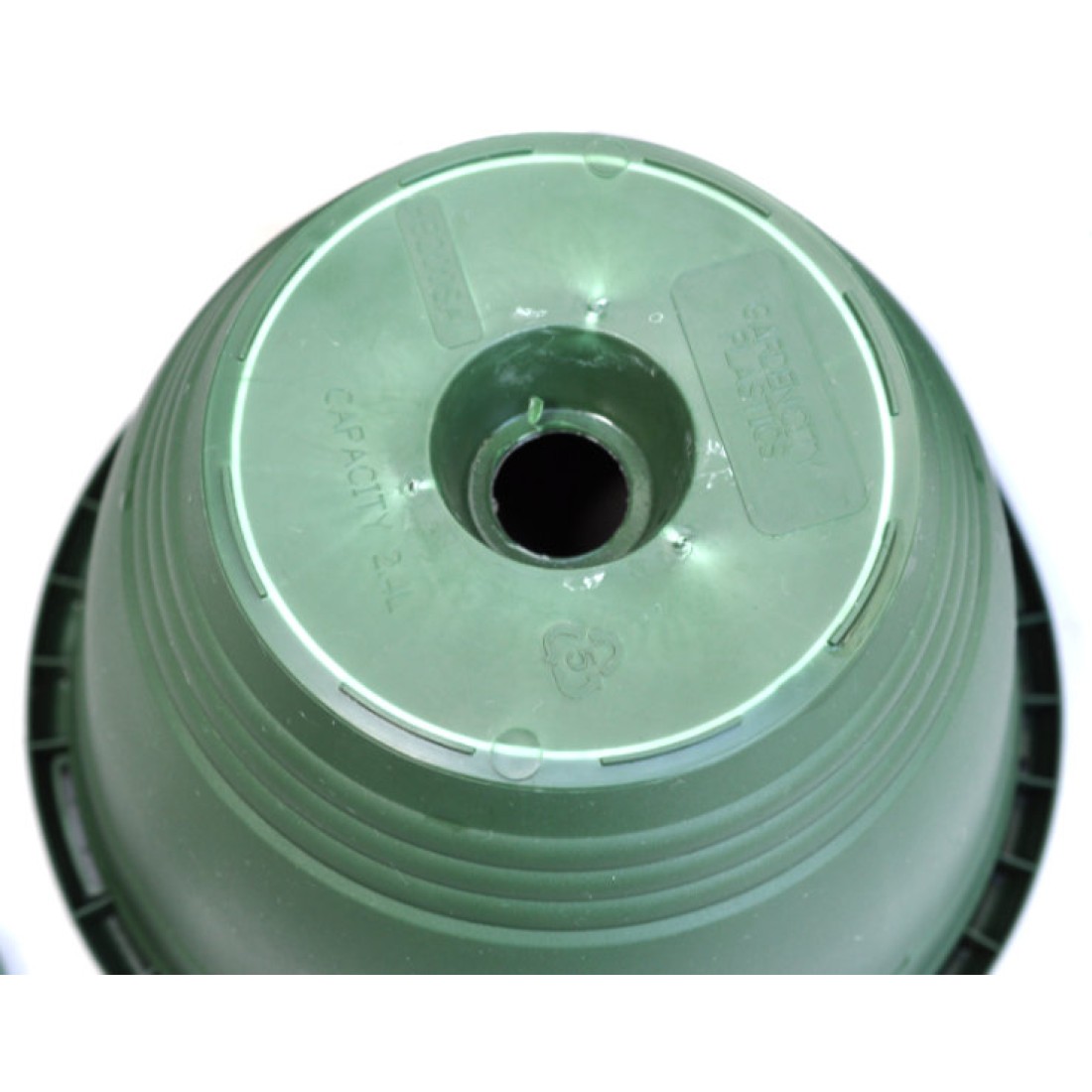 Brahmi/Bacopa/Memory Herb (Bacopa monnieri) and Gotu Kola/Mandukaparni ...