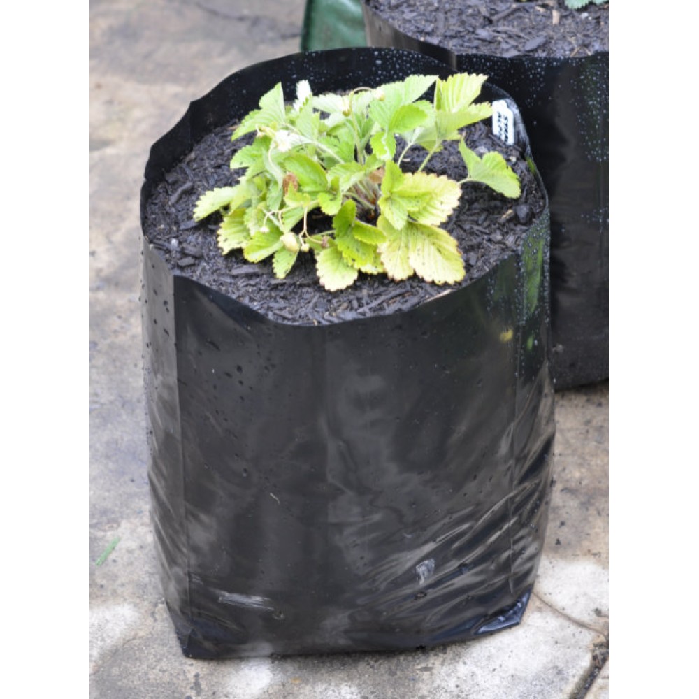 25 L Low Cost Deep Poly Planter Bag (Plants Not Included)