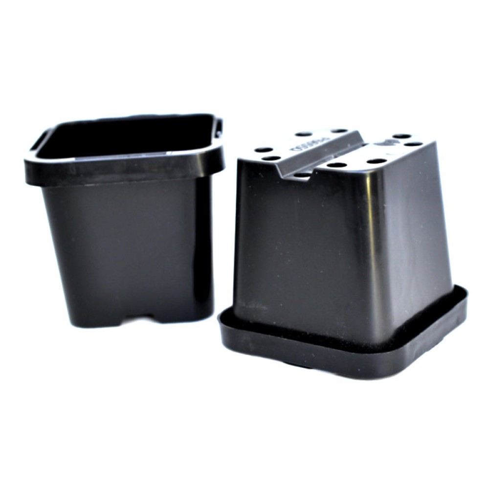 Twenty-Four 66 mm Square Squat Pots