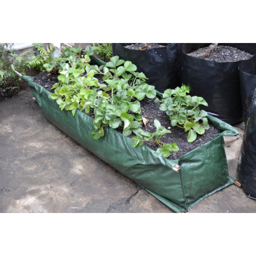 40 L Rectangular Pop-up Mini Portable Garden Bed/Hedge Bag (Plants Not ...