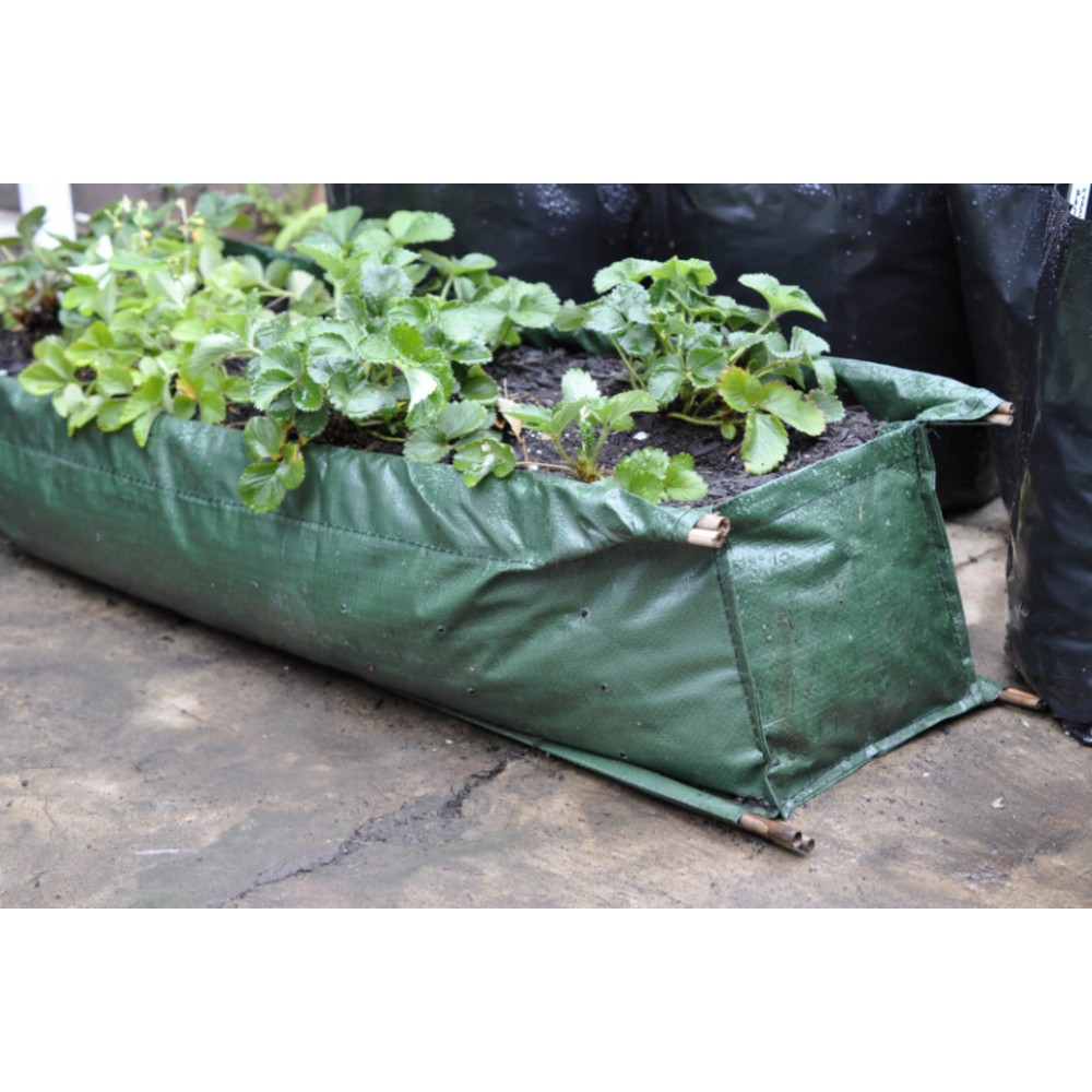40 L Rectangular Pop-up Mini Portable Garden Bed/Hedge Bag (Plants Not ...