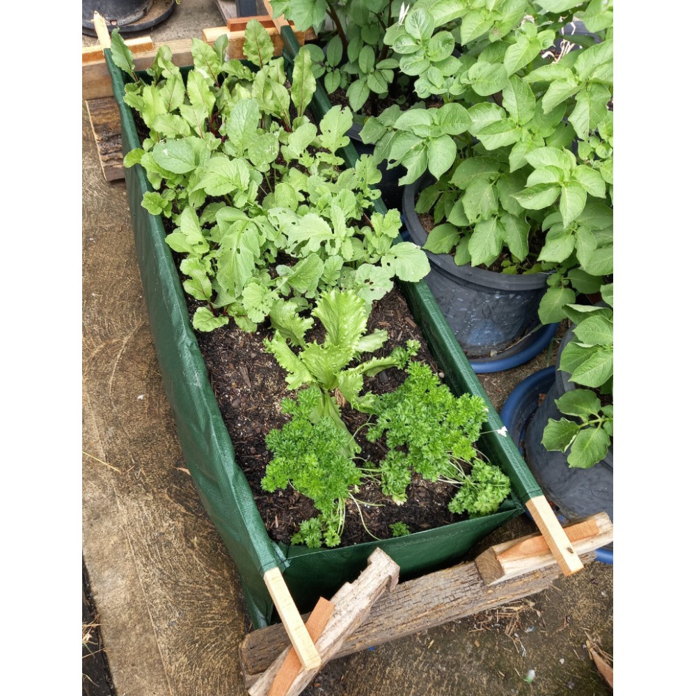 90 L Rectangular Pop-up Mini Portable Garden Bed/Hedge Bag (Plants Not ...