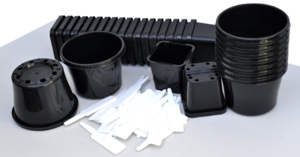 Succulent and Cactus Lovers Propagation Pots Half Pack